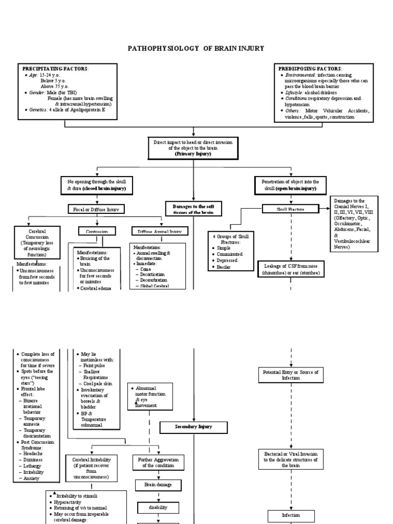 Pathophysiology of Brain Injury: Predisposing Factors: Precipitating ...