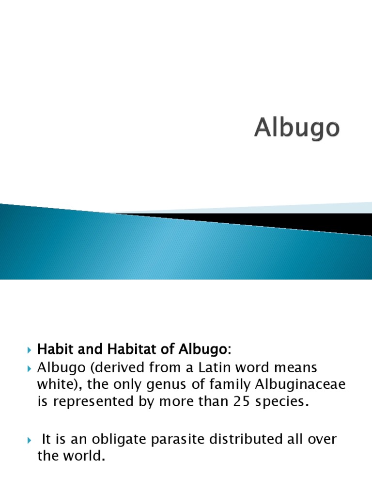 Albugo | Cell Nucleus | Fungus