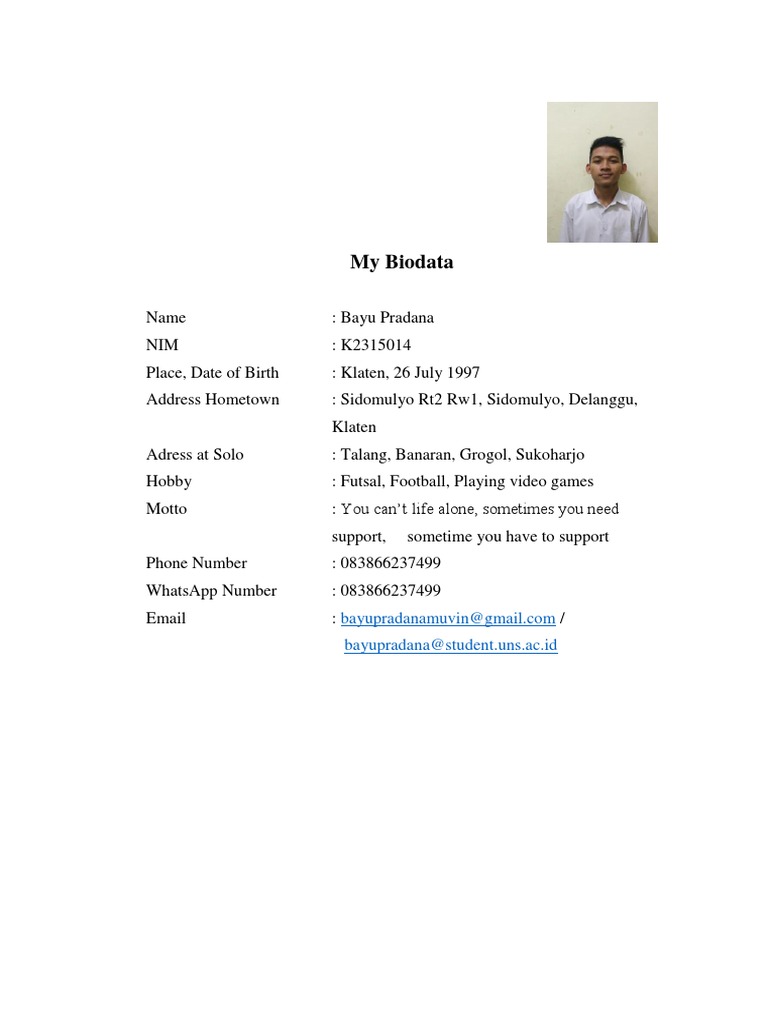 Bayu Pradana's Personal Biodata | PDF