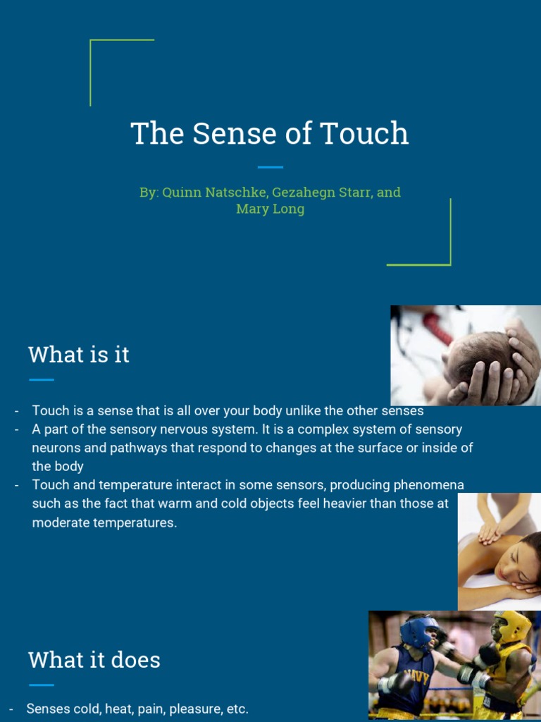 Touch | PDF | Somatosensory System | Senses