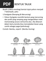 Daftar Nama-Nama Pohon Beserta Latin | PDF | Teknologi & Rekayasa