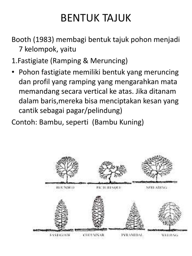 Bentuk Tajuk | PDF