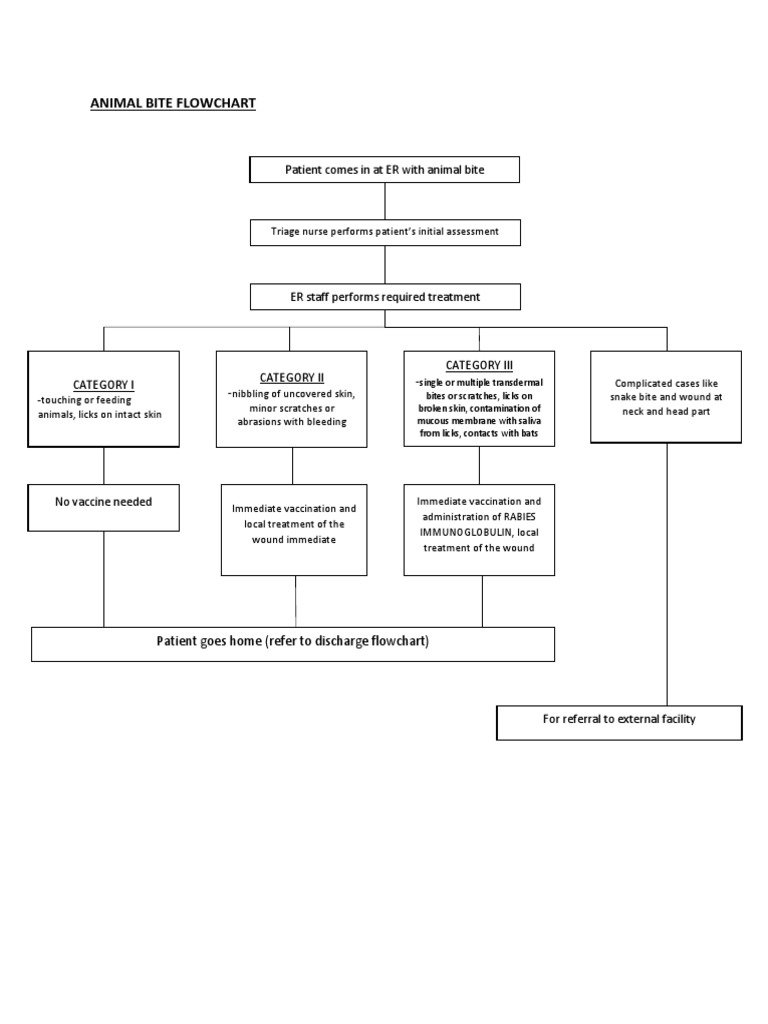 Animal Bite Flowchart: Patient Comes in at ER With Animal Bite | PDF