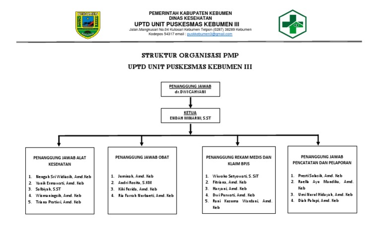 Struktur Organisasi PMP | PDF