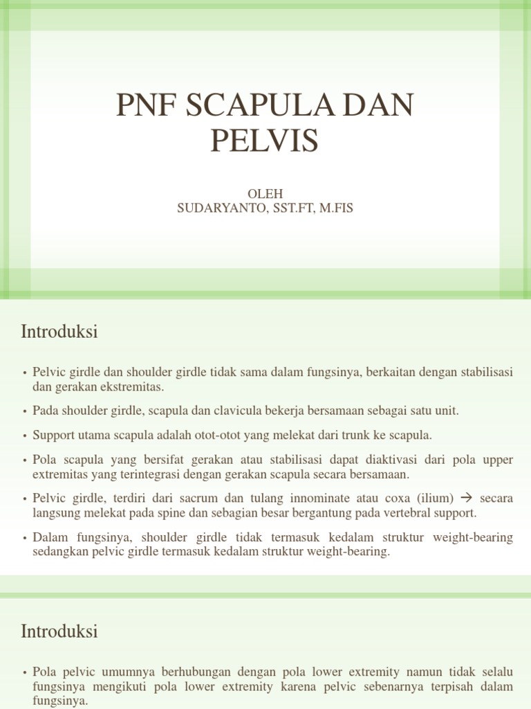PNF Scapula Dan Pelvis | PDF