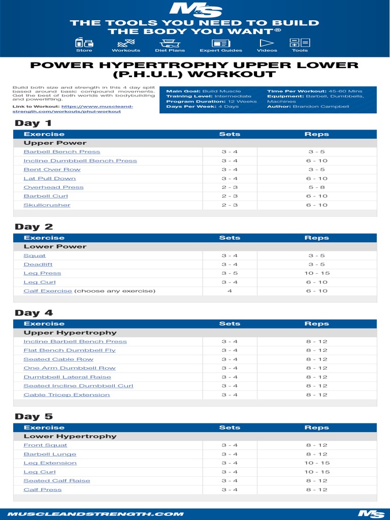 PHUL Workout PDF | PDF | Muscle Hypertrophy | Management Of Obesity