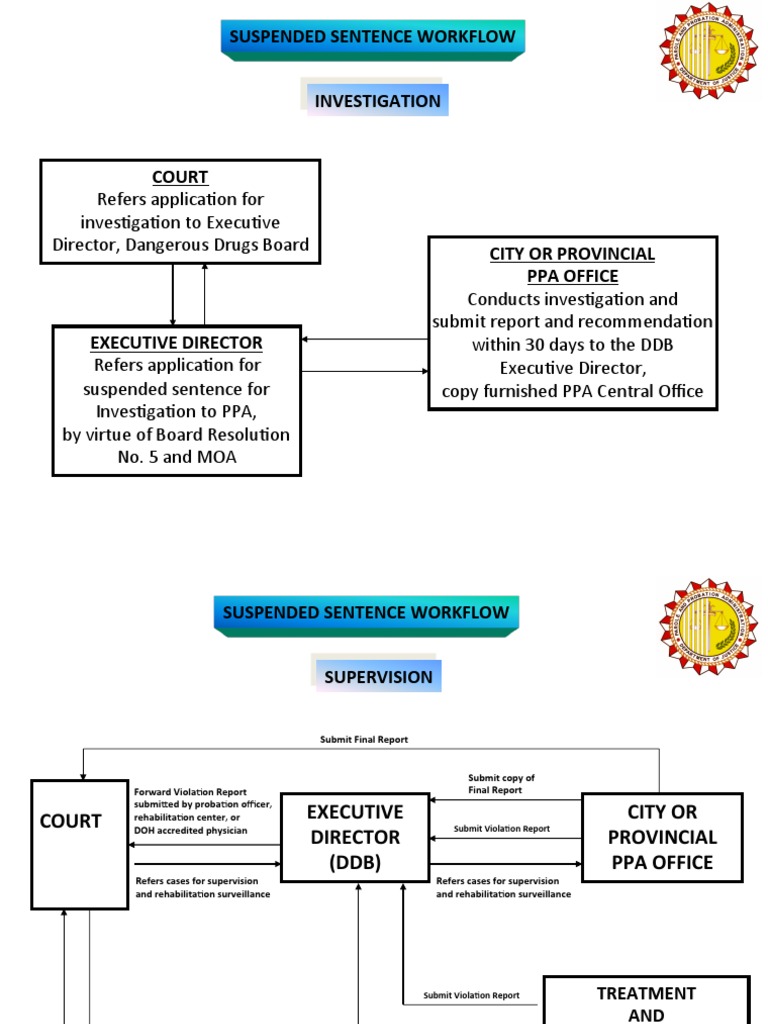 Suspended Sentence Workflow Investigation | PDF | Government | Criminal ...