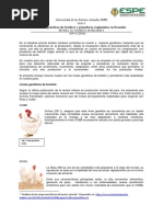 Anatomía del aparato reproductor del gallo | PDF | Salud y bienestar ...