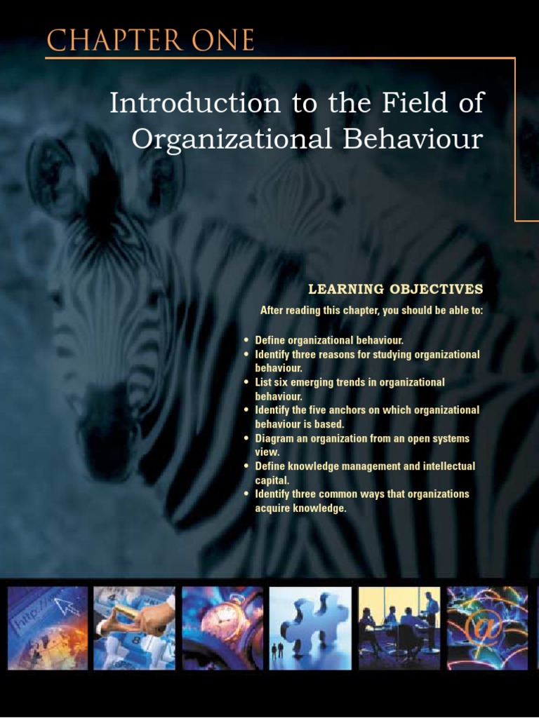 Introduction To The Field of Organizational Behaviour: Chapter ONE | PDF | Telecommuting ...