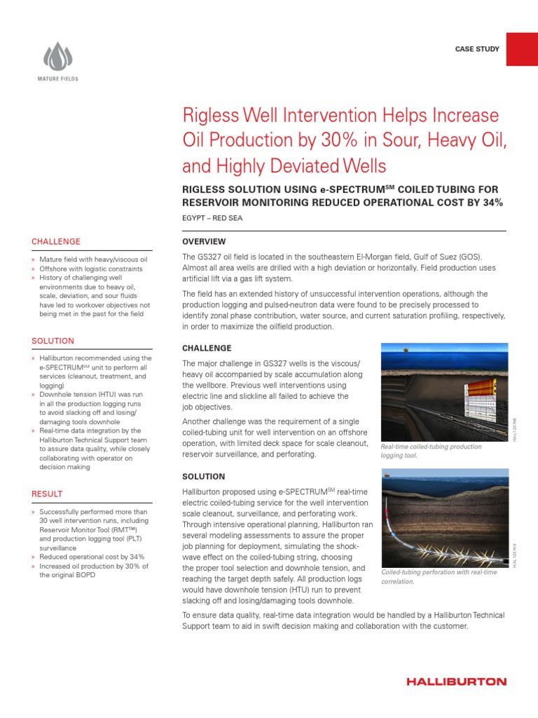 Well Intervention Manuals Rig Less | Download Free PDF | Petroleum ...