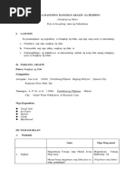 Sanaysay Lesson Plan | PDF