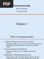 Robert Hisrich, Michael Peters, Dean Shepherd - Entrepreneurship-McGraw ...