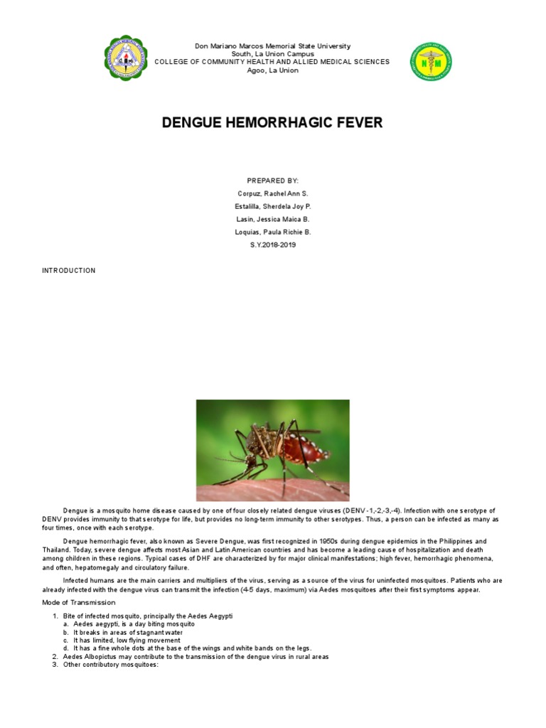 Dengue Hemorrhagic Fever | Granulocyte | Blood Cell