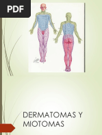 Dermatomas y Miotomas | PDF | Nervio | Sistema musculoesquelético