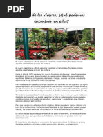 Estructura de Un Vivero Temporal y Permanente | PDF | Clima | Riego