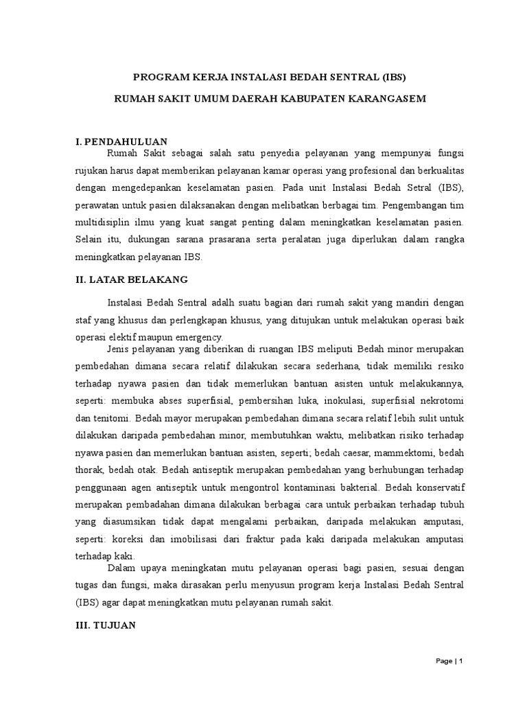 Program Kerja Ibs | PDF