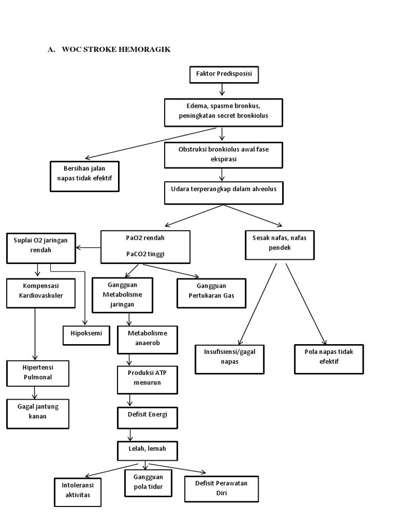 WOC STROKE NON HEMORAGIK.docx