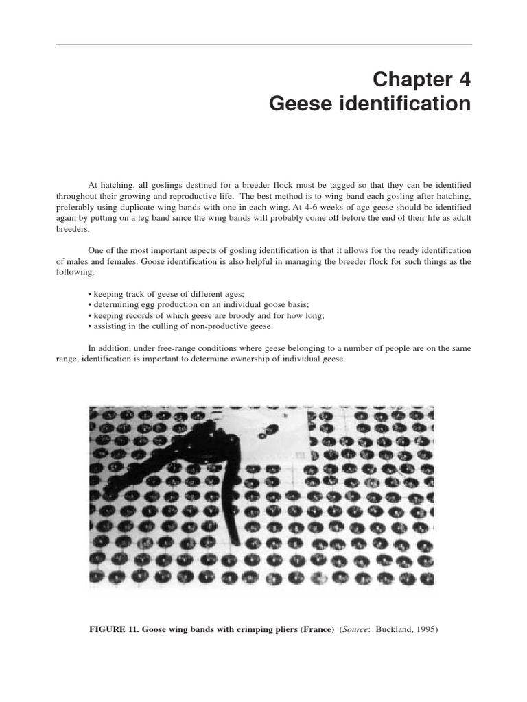 Gosling Identification Techniques | PDF