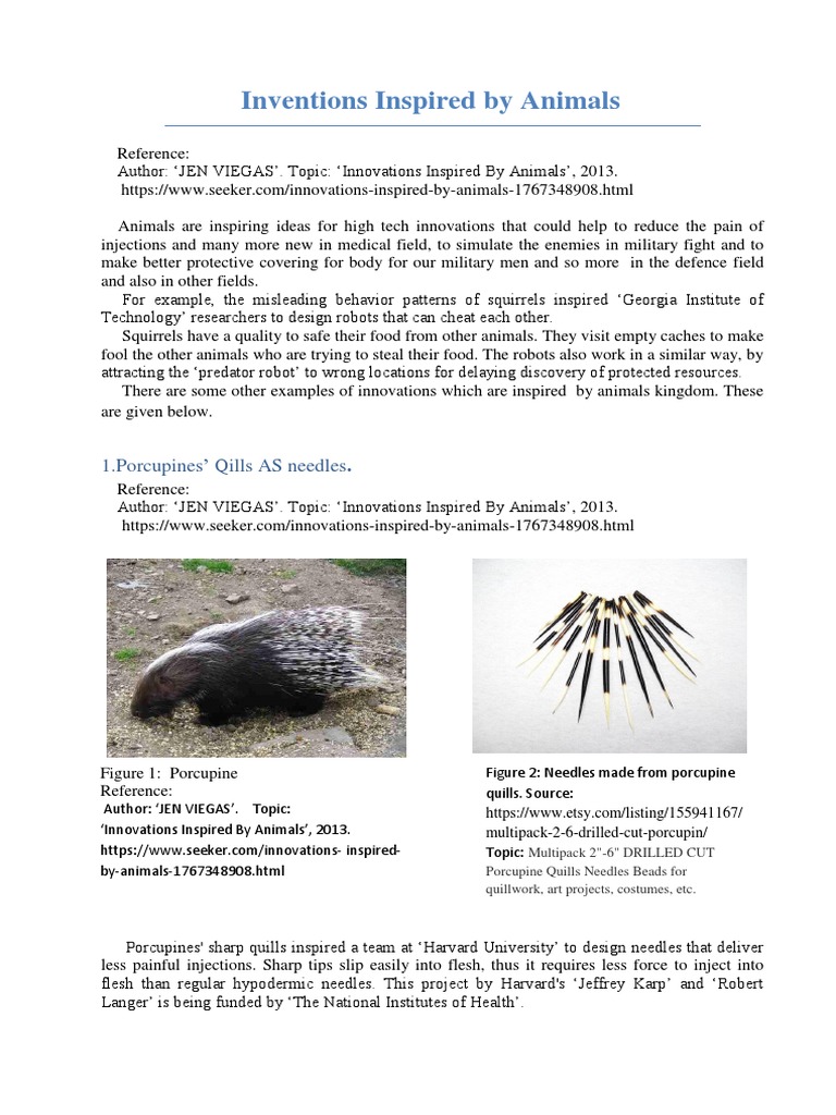 Inventions Inspired by Animals | Download Free PDF | Tyrannosaurus ...