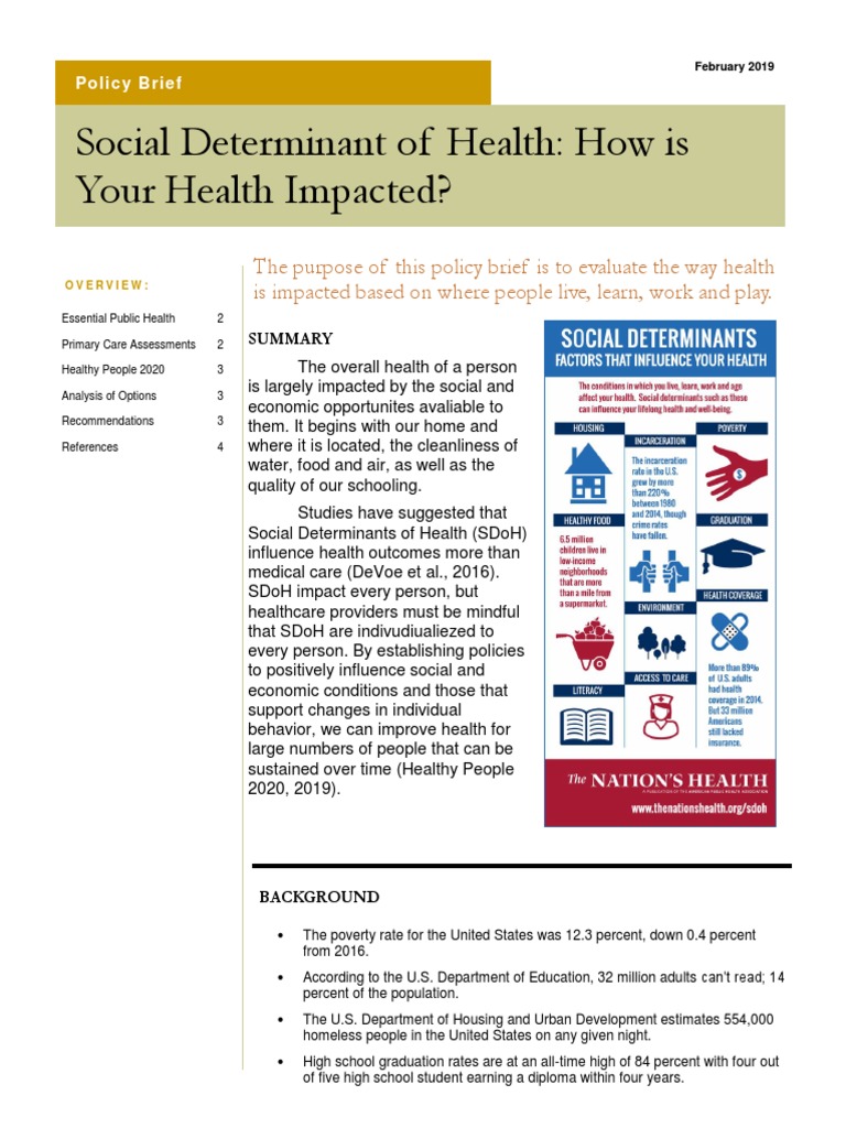 Policy Brief | PDF | Public Health | Health Care