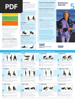 Theraband Exercise Program Guide | PDF | Human Leg | Physical Therapy