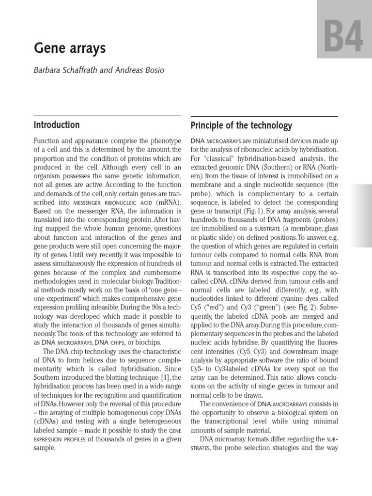 B4 Gene Arrays | PDF | Dna Microarray | Gene Expression