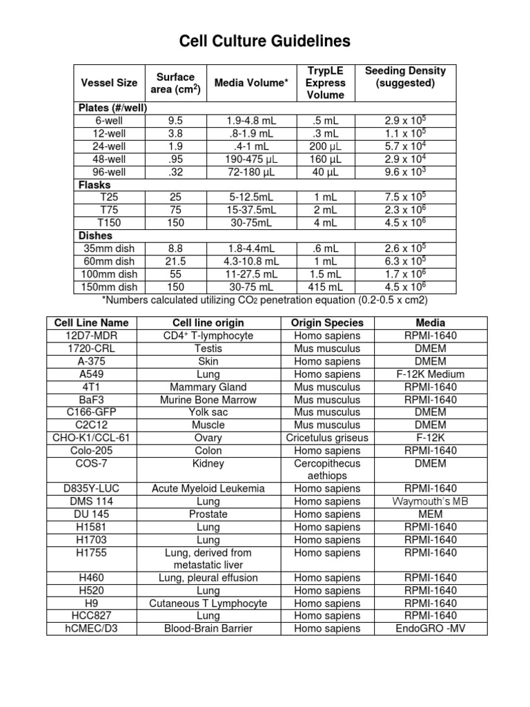 Cell Culture Guidelines | PDF | Bone | Metastasis