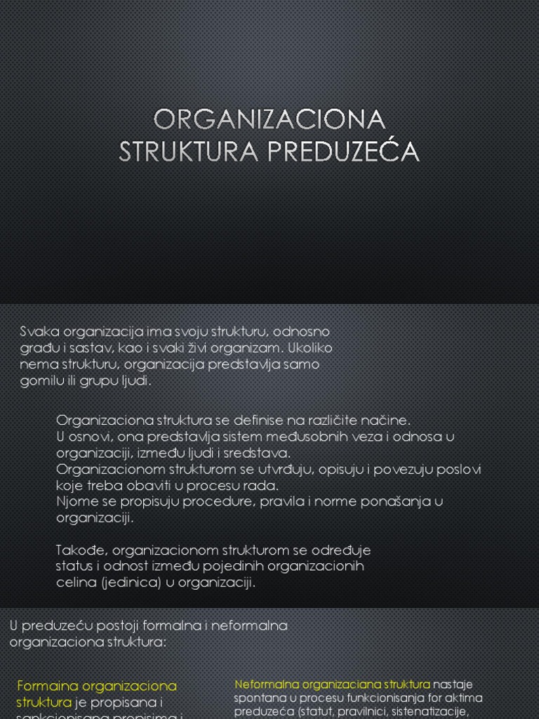 Organizaciona Struktura Preduzeca | PDF