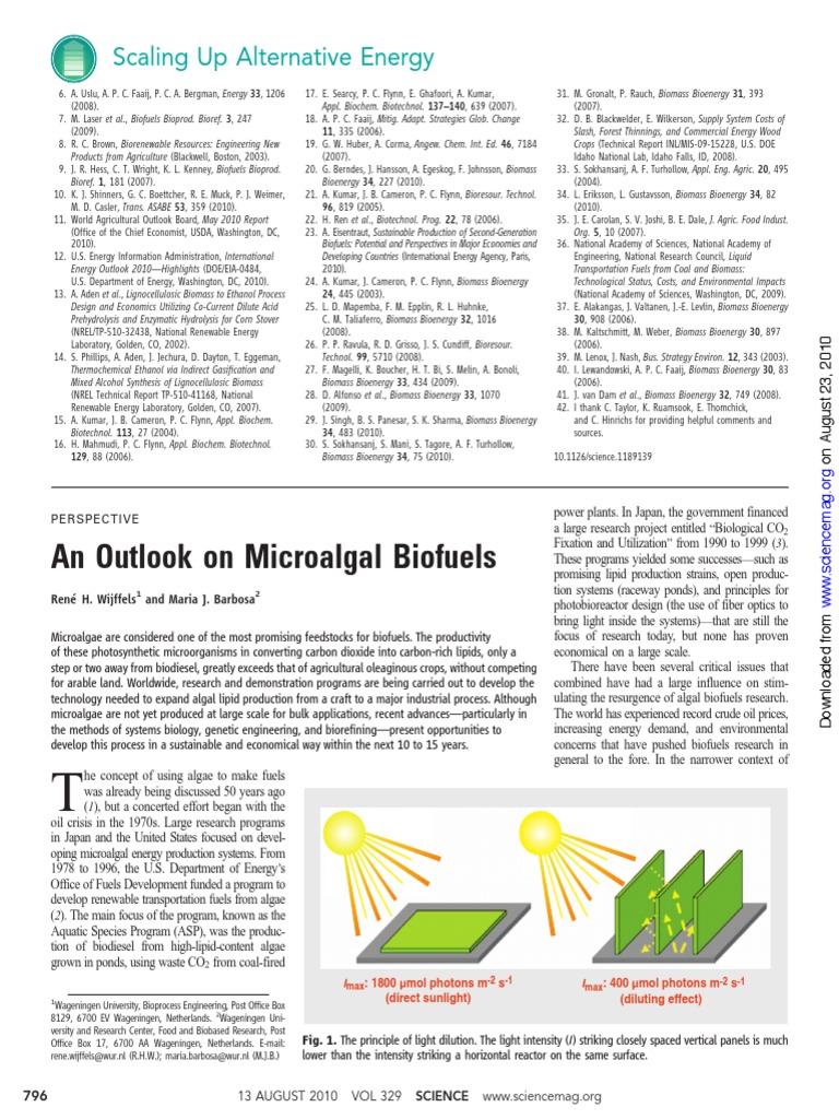 An Outlook On Microalgal Biofuels PDF | PDF | Algae Fuel | Biofuel