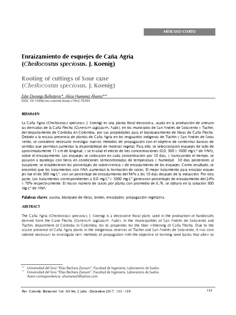 Enraizamiento de Caña Agria con ANA | PDF | Botánica | Aluminio