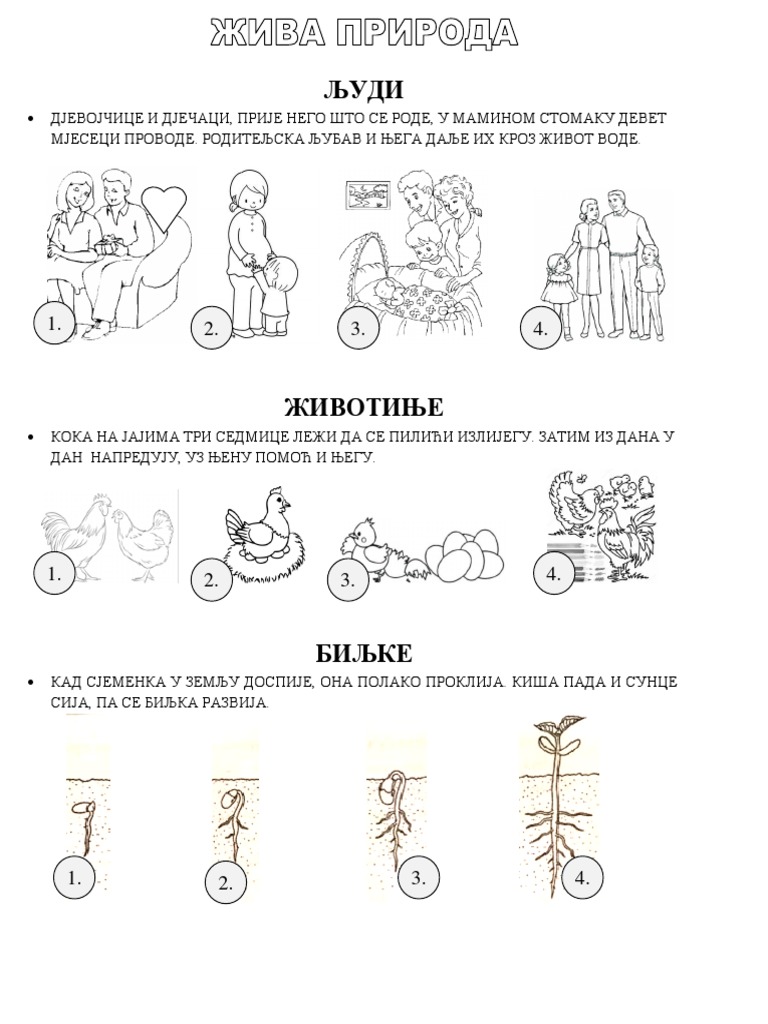 Ziva I Neziva Priroda | PDF