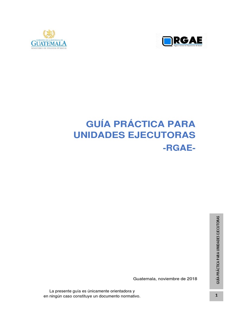 RGAE | PDF | Estado (política) | Gobierno