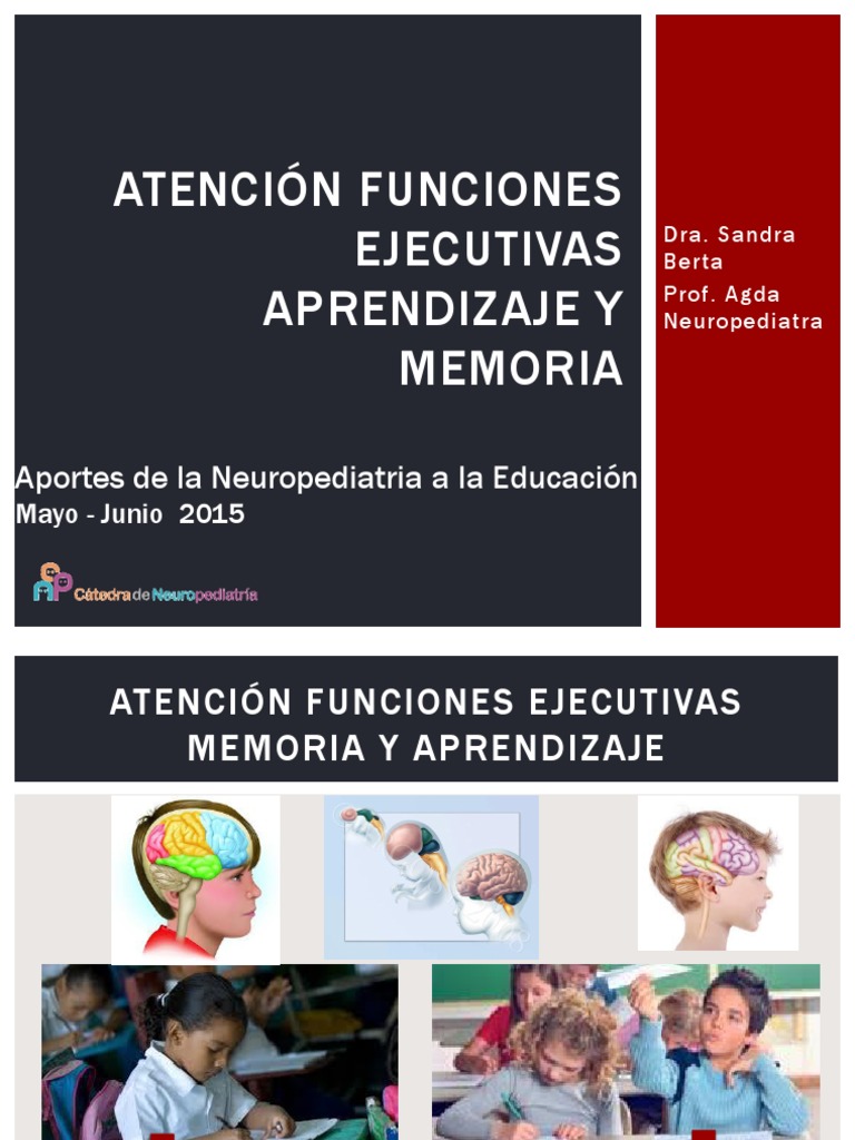 Atención. Funciones Ejecutivas. Aprendizaje y Memoria. | PDF | Desorden ...