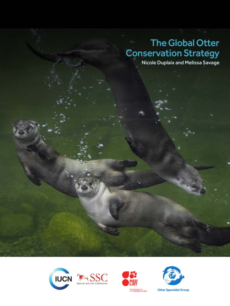IUCN-Otter-Report-Dec 17-Master-Doublepage PDF | PDF | Conservation ...