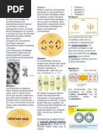 Codigos Gestuales e Iconograficos de Las Diferentes Culturas Del Pais ...