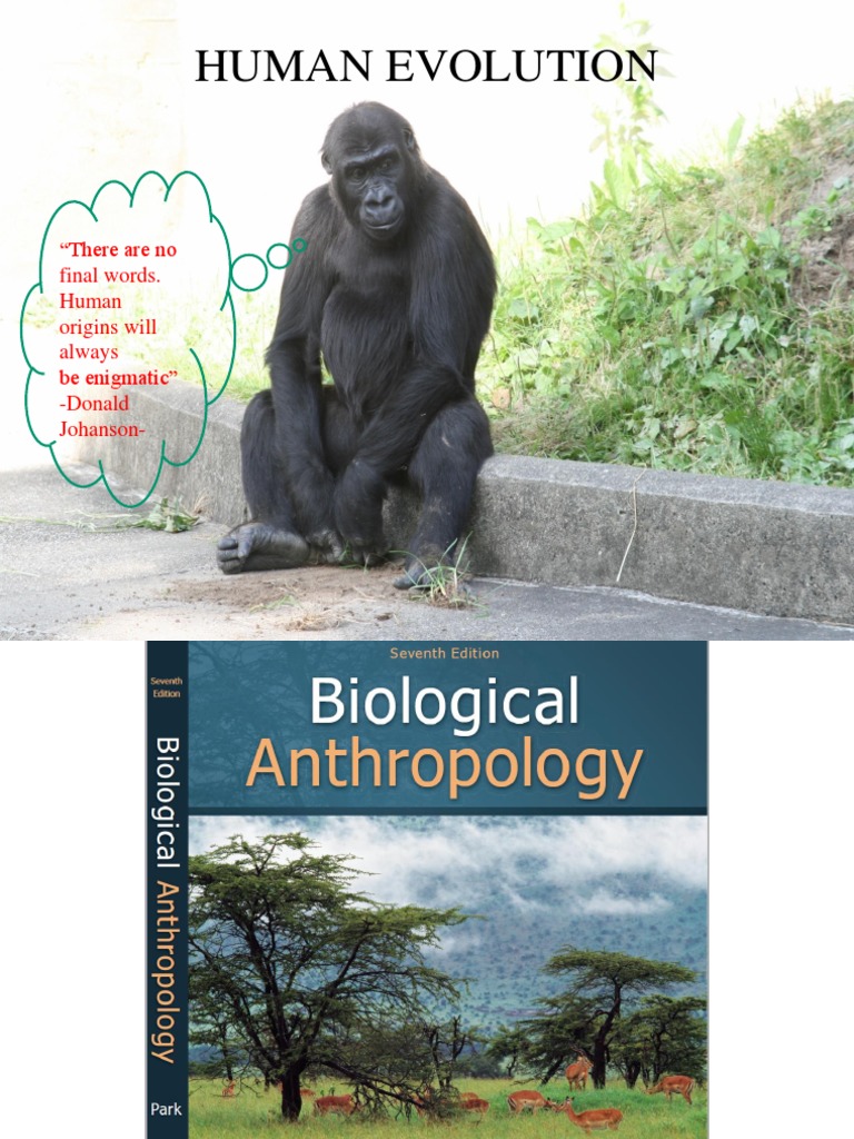 Human Evolution: "There Are No Final Words. Human Origins Will Always ...