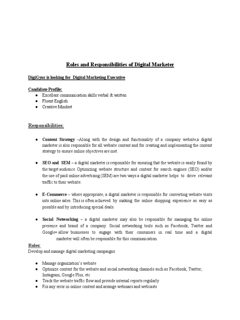 Digital Marketing Executive Responsibilities | PDF