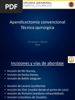 Incisión Rocky Davis | PDF | Medicina CLINICA | Anatomía