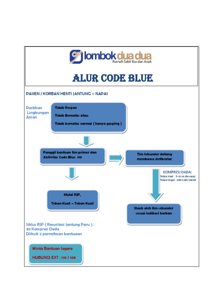 Alur Code Blue | PDF