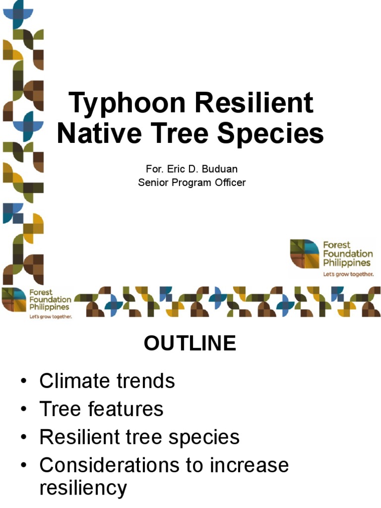 Forest Foundation Philippines 2nd Philippine Environmental Summit ...