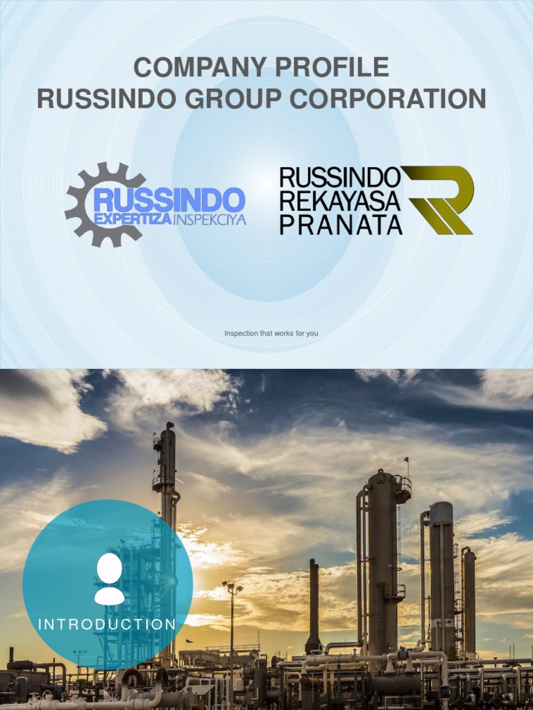 Russindo Group: Engineering & Inspection Services | PDF | Ultrasound ...
