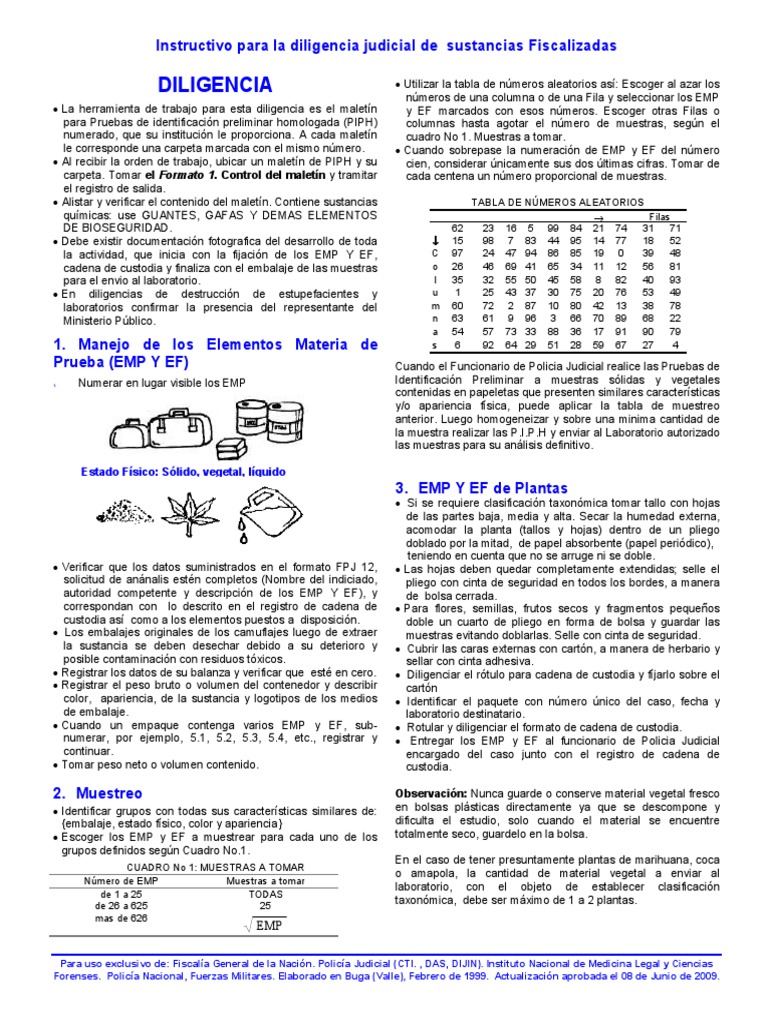 Instructivo Piph | PDF | Ph | Ácido