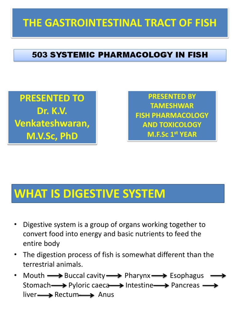 The Gastrointestinal Tract of Fish: Presented To Dr. K.V ...