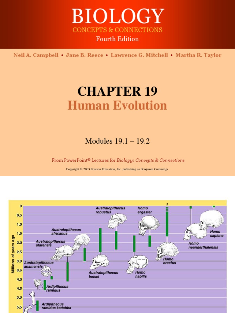 4th Meeting - Hominids and Human Evolution | PDF | Homo | Human Evolution