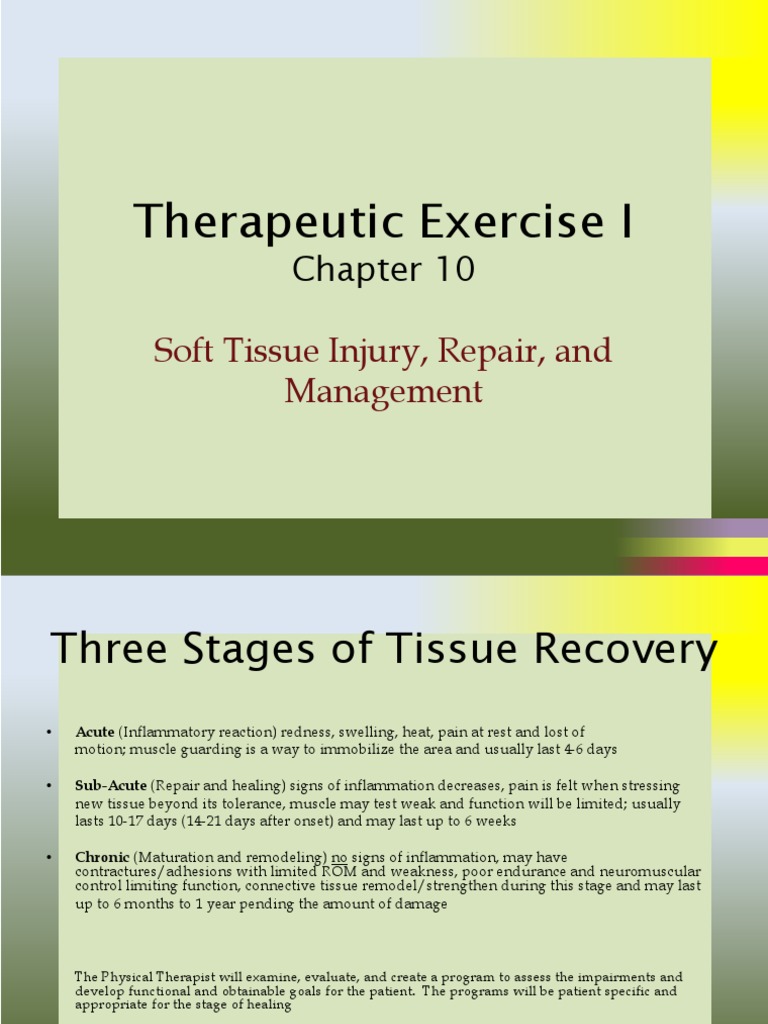 Powerpoint Chapter 10-Student Edition | PDF | Inflammation | Tendon