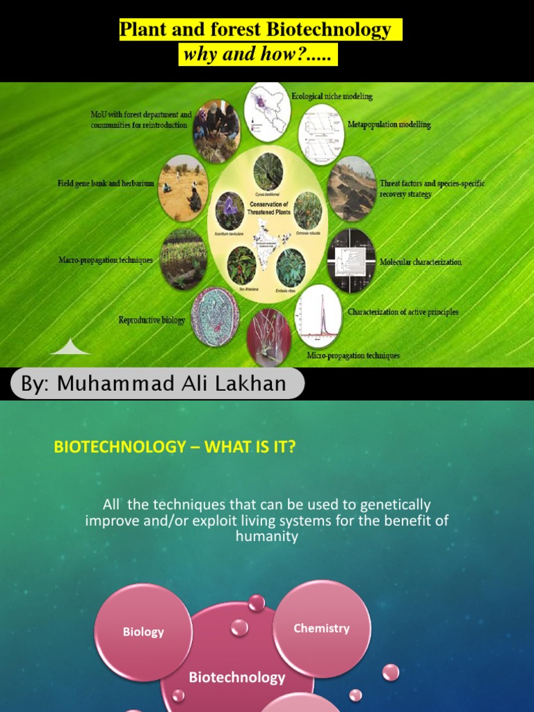 Plant and Forest Biotechnology | PDF | Biotechnology | Plant Breeding