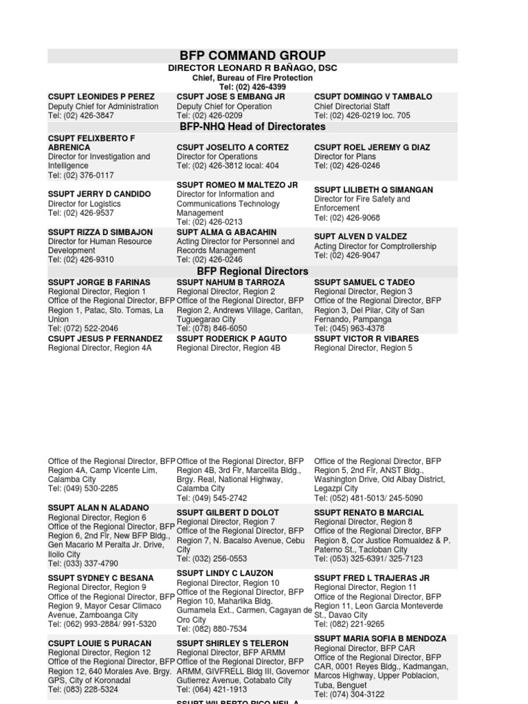 BFP Command Group | PDF | Violence | Business