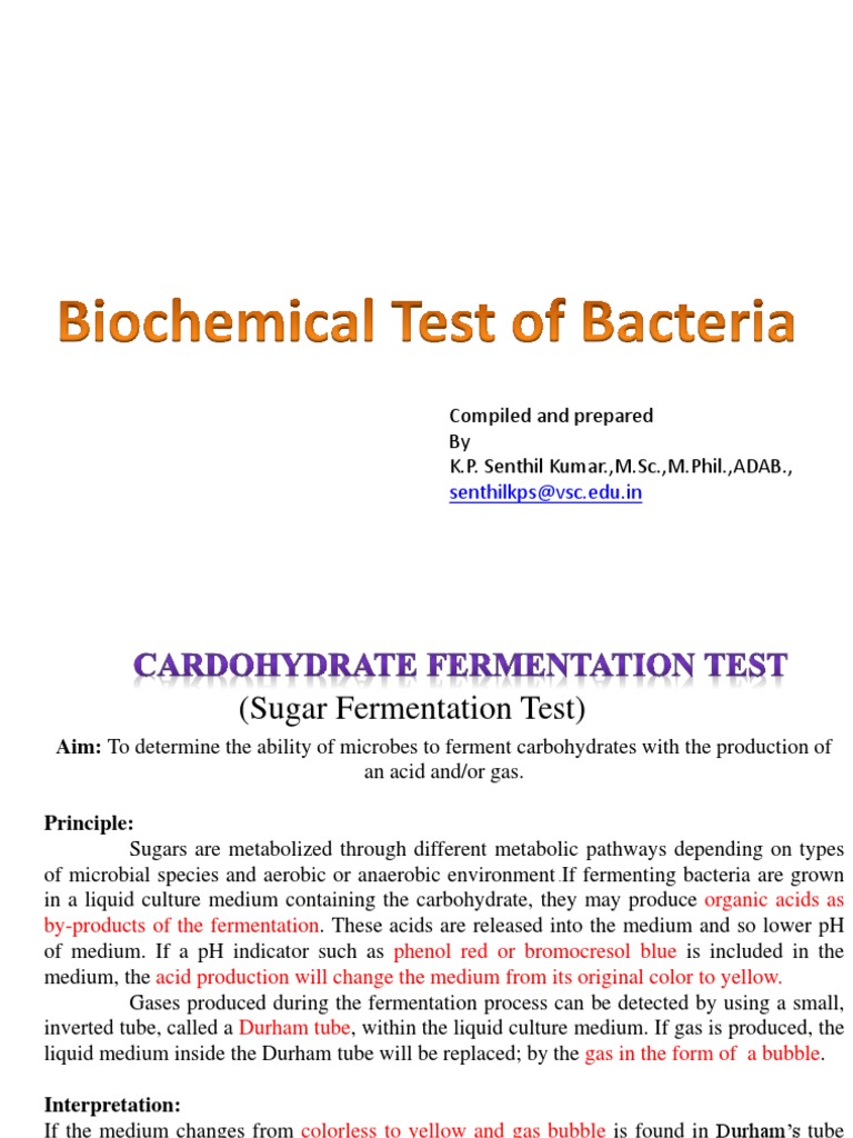 Biochemical Test of Bacteria | PDF | Growth Medium | Catalase