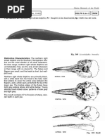Traditional Korean Weapons | PDF | Sword | Korea