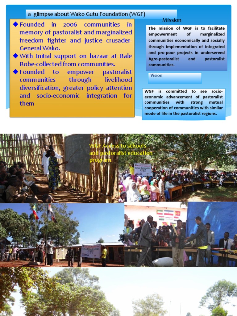 A Glimpse About Wako Gutu Foundation (WGF) Mission: Vision | PDF | Wash ...